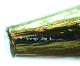 Microscope World Blog: Safety Pin Under the Microscope