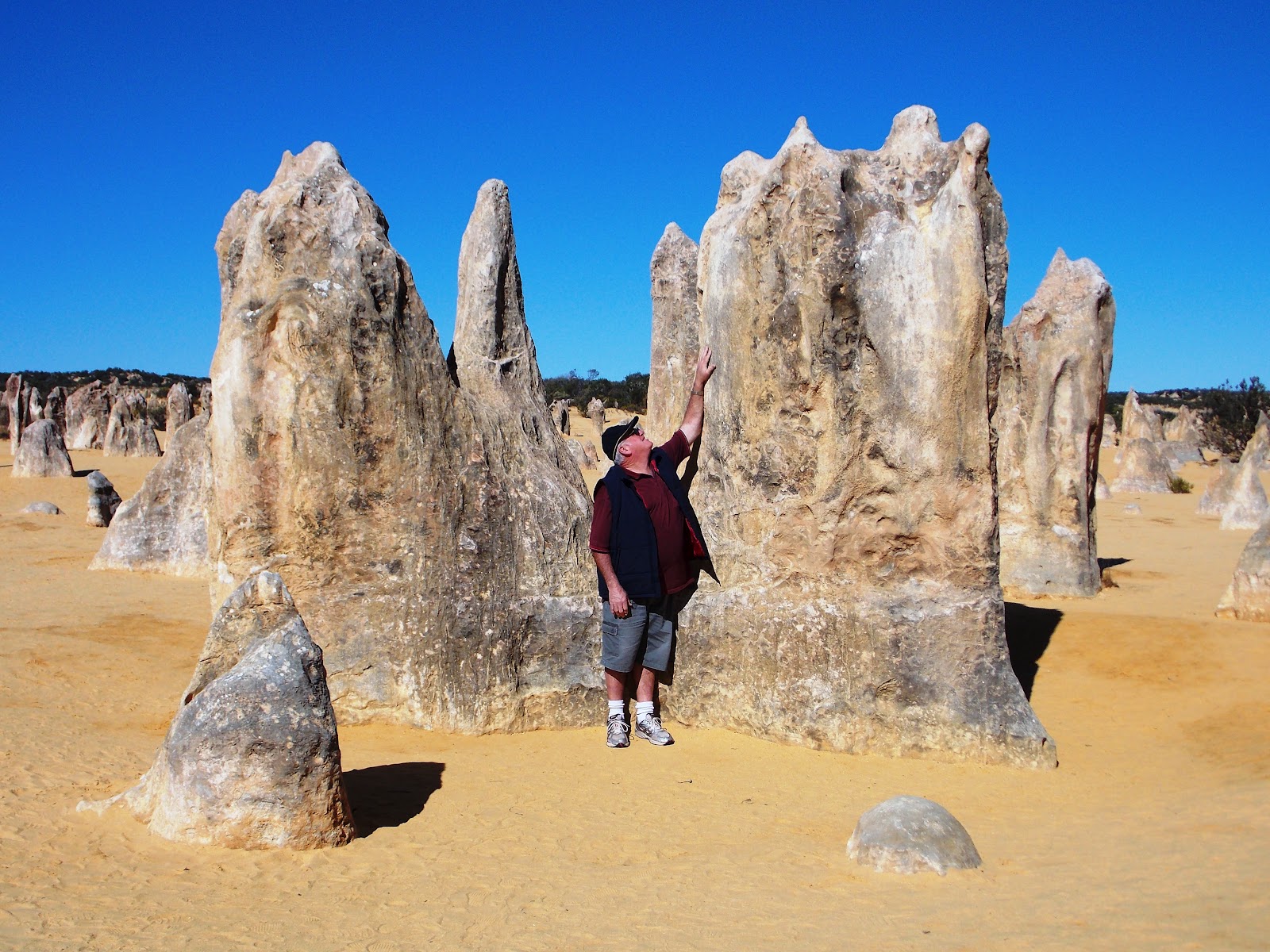 Crawf and Sue On the Move: Waiting for the Wildflowers