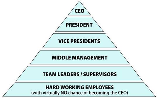 Network Marketing: Business and Pyramid