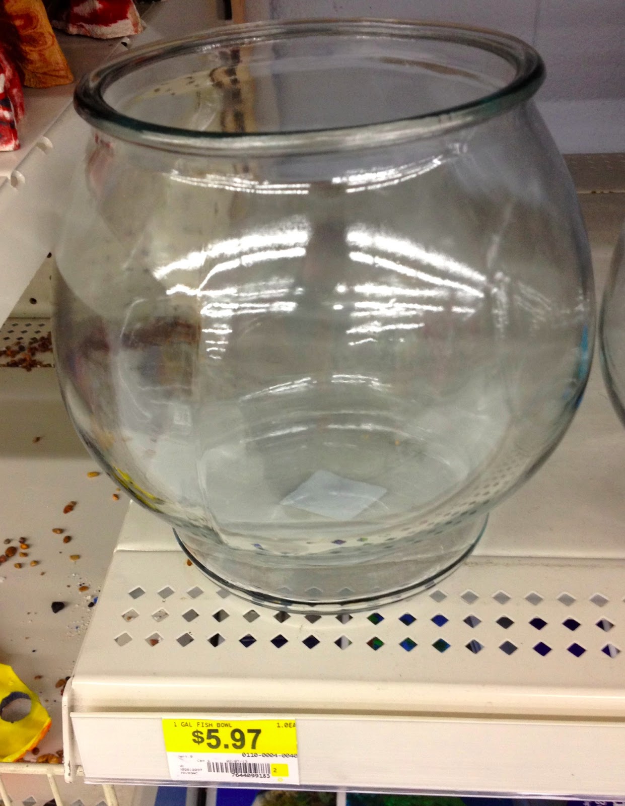 One Fish Two Fish Estimation Center - Library Learners