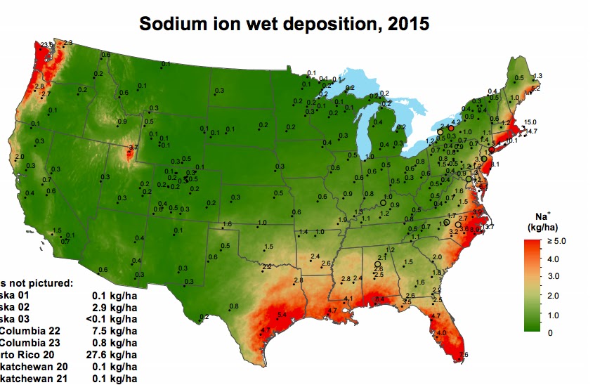 Cliff Mass Weather Blog: How much salt falls naturally out of the sky?