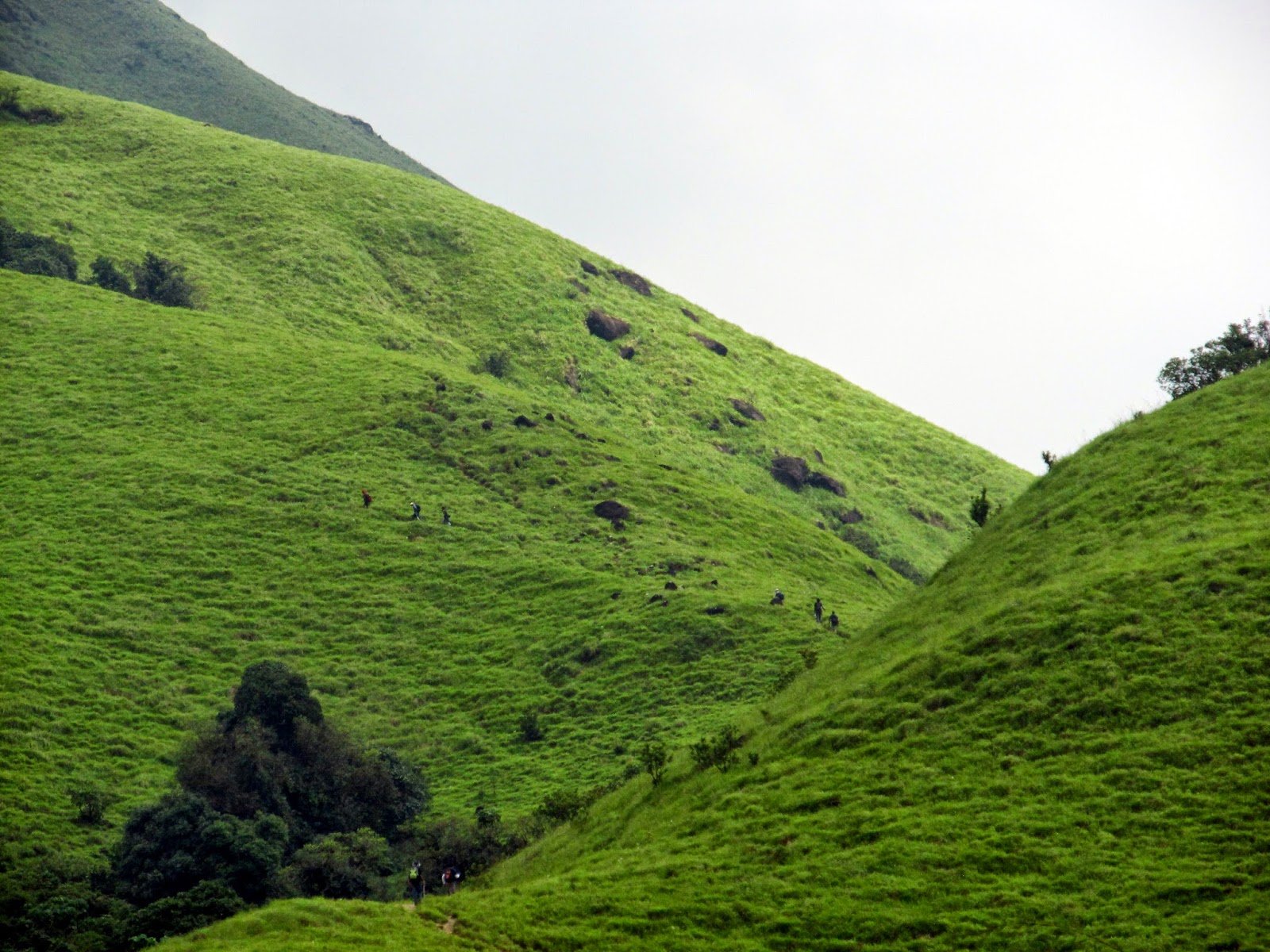 Expressing Myself: Kumara Parvatha trek - 29,30 Sep 2012