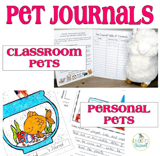 The Best Classroom Pet Ever! - Crockett's Classroom