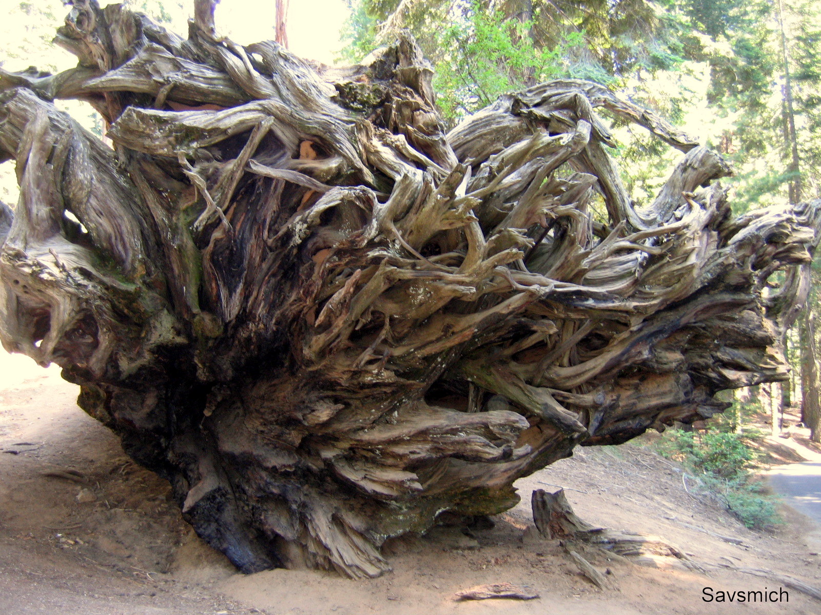 Savio & Michelle's Travel Diary .. A new destination in every page ...