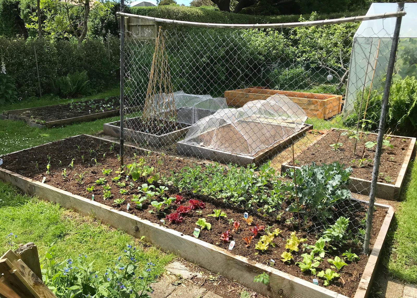 Composting - the circular economy starts at home.