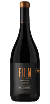 Wine MDQ: Los 10 grandes vinos del 2020