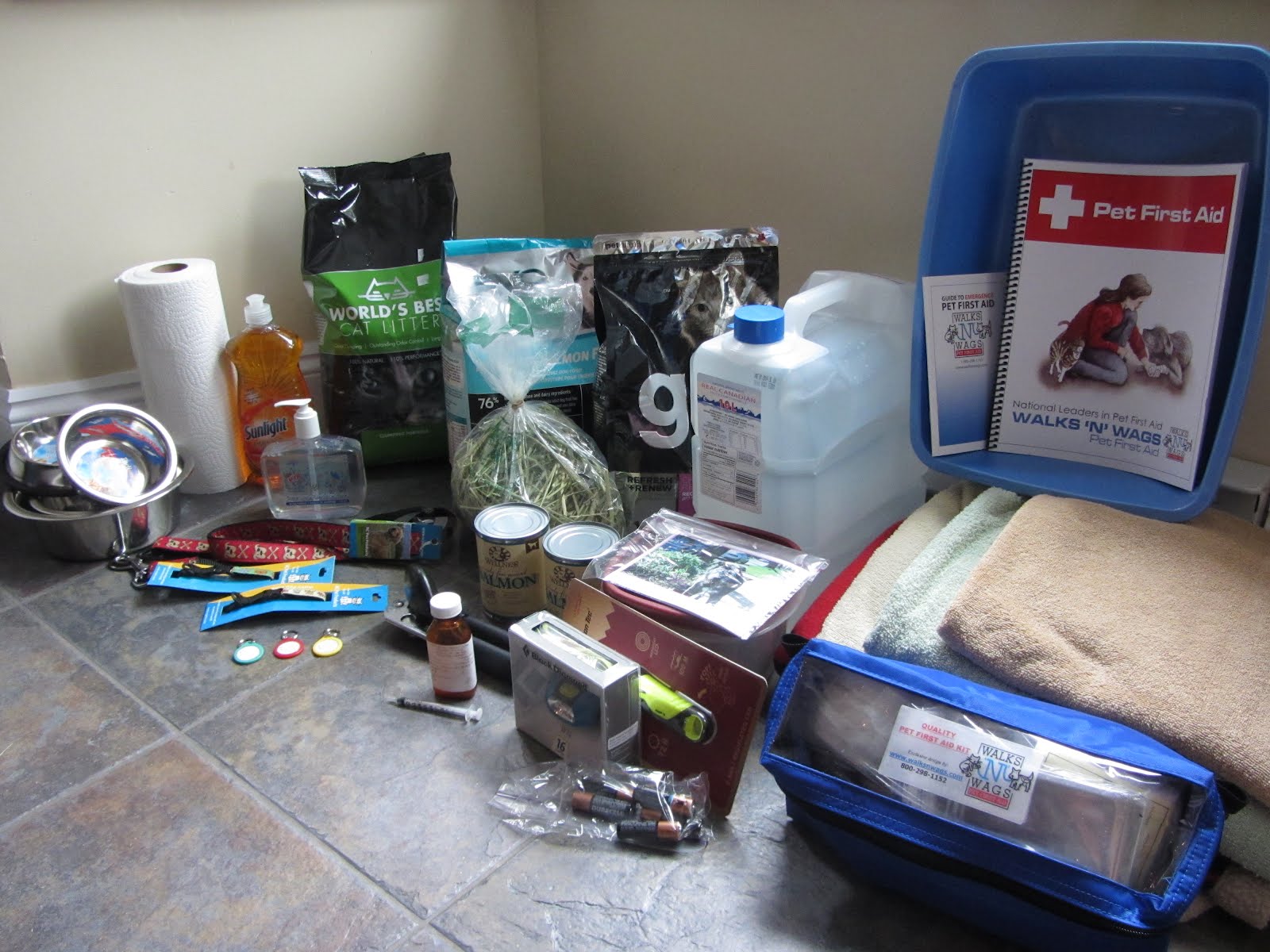 Walks 'N' Wags Pet First Aid: Creating a home-made Pet Disaster Kit