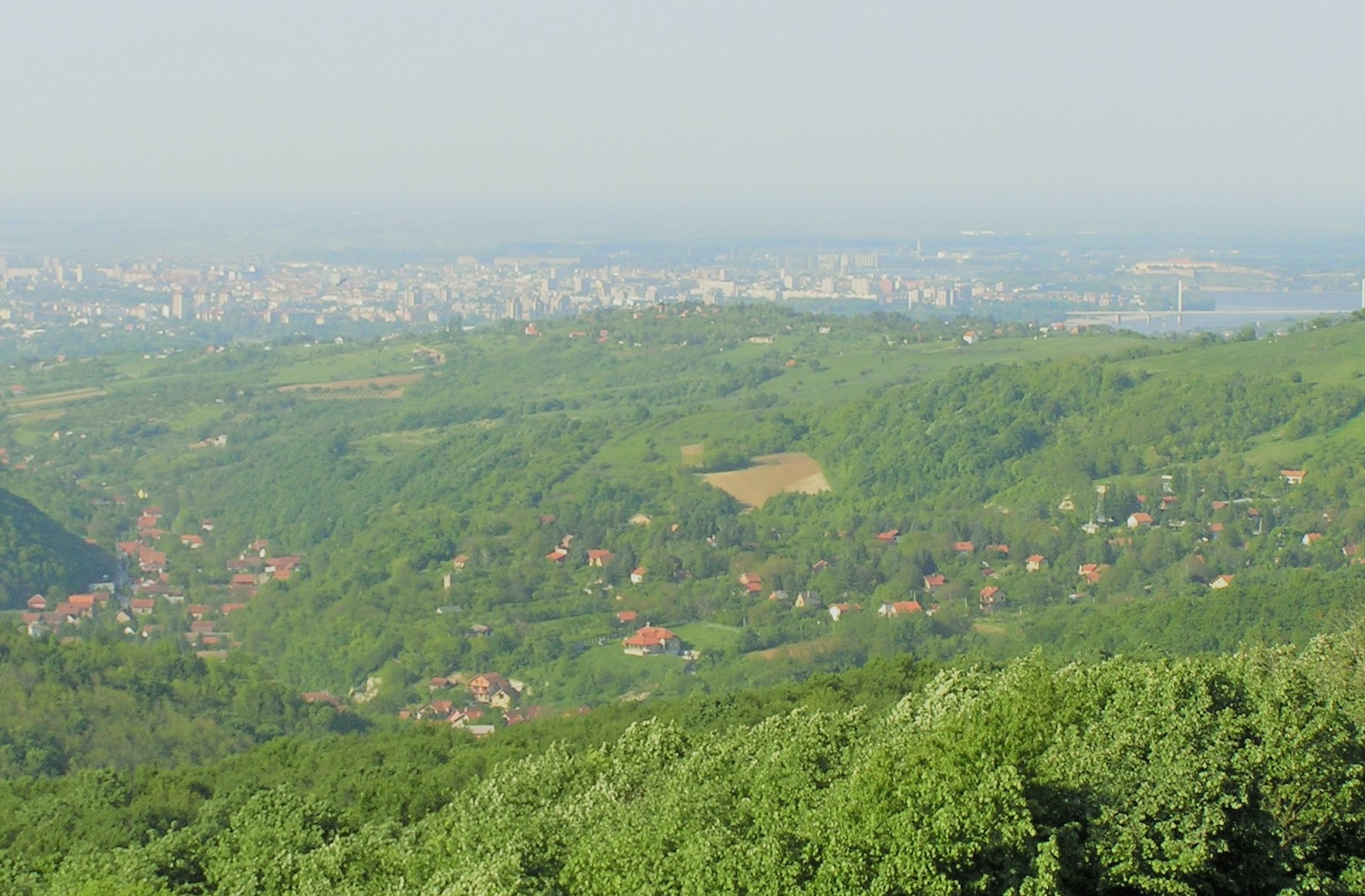 balk-annski blog: #39 Nowy Sad - miasto i jego atrakcje [wspomnienia]