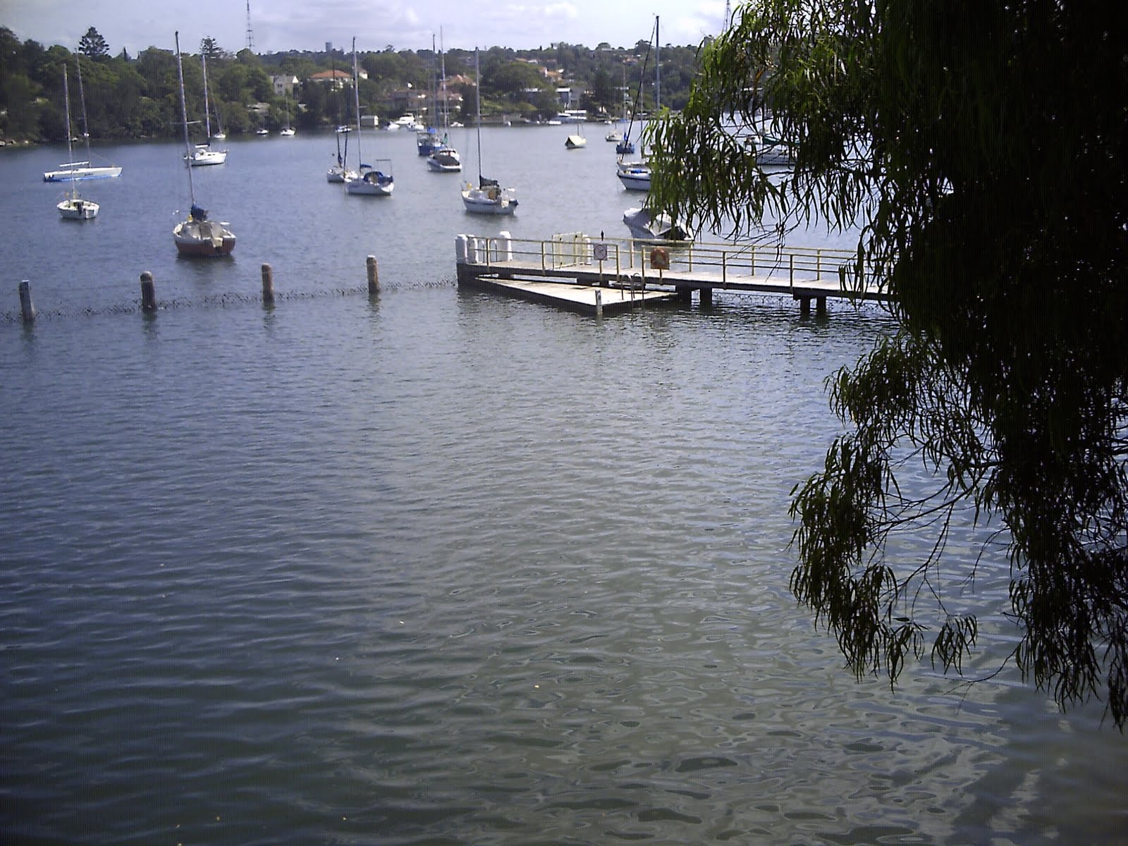 Lazy Swimmer: The Long Swim