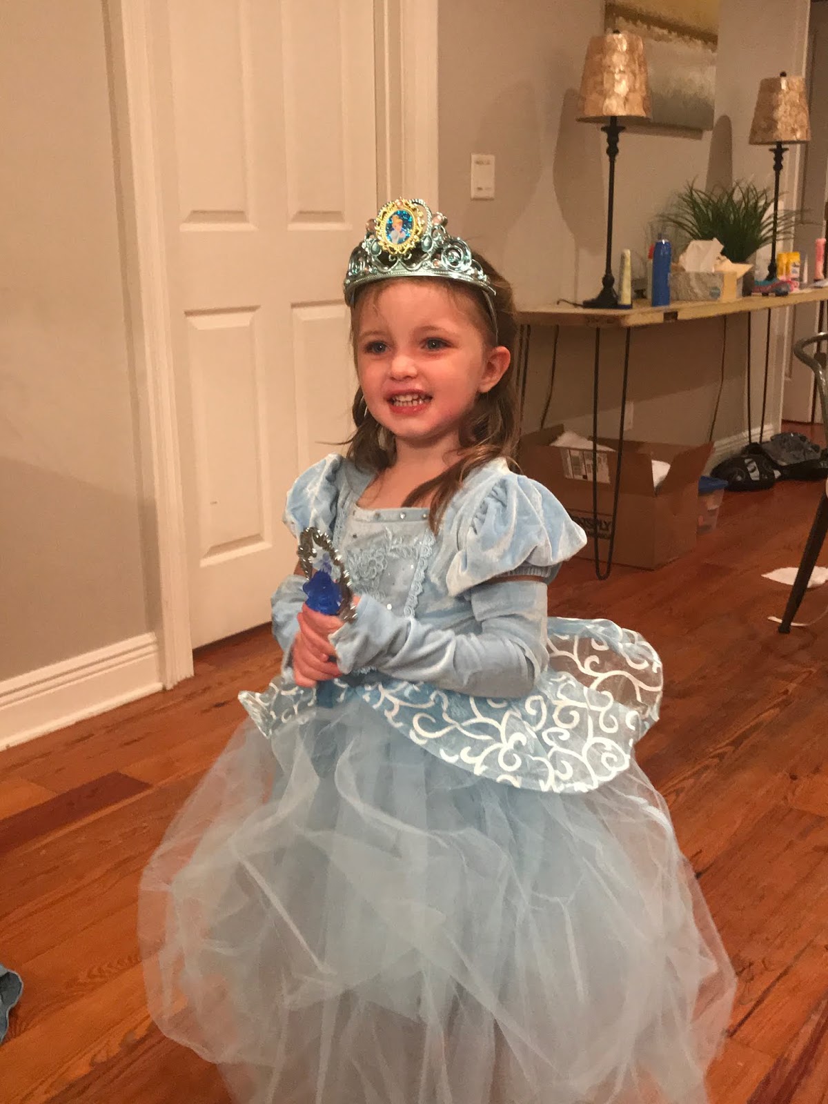 Bad Cook, Great Baker