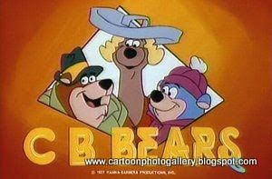 C B Bears