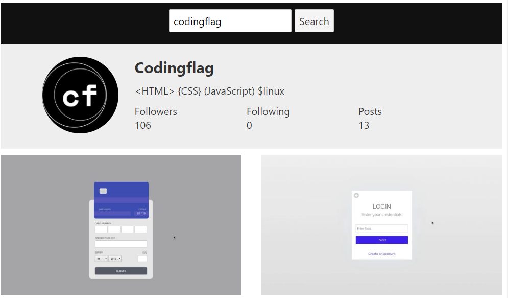 Codingflag: Create Instagram Profile Clone using Instagram API
