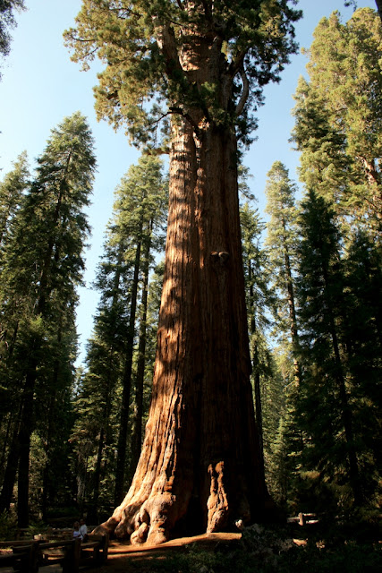 at emaze Presentation