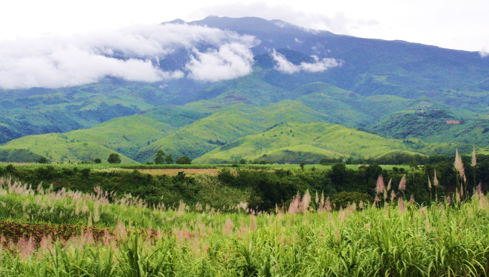 The Road Less Traveled: An Island & Mountain Adventure: Kipot Twin ...