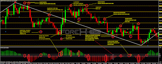 Trade Forex Easy - Learn How to Forex Trading Success: Gone Fishing ...