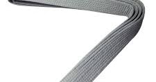 What is a GREY belt in karate? - How to Learn Karate and Japanese ...