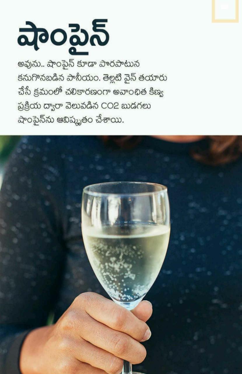 Shampine | AP Heritage