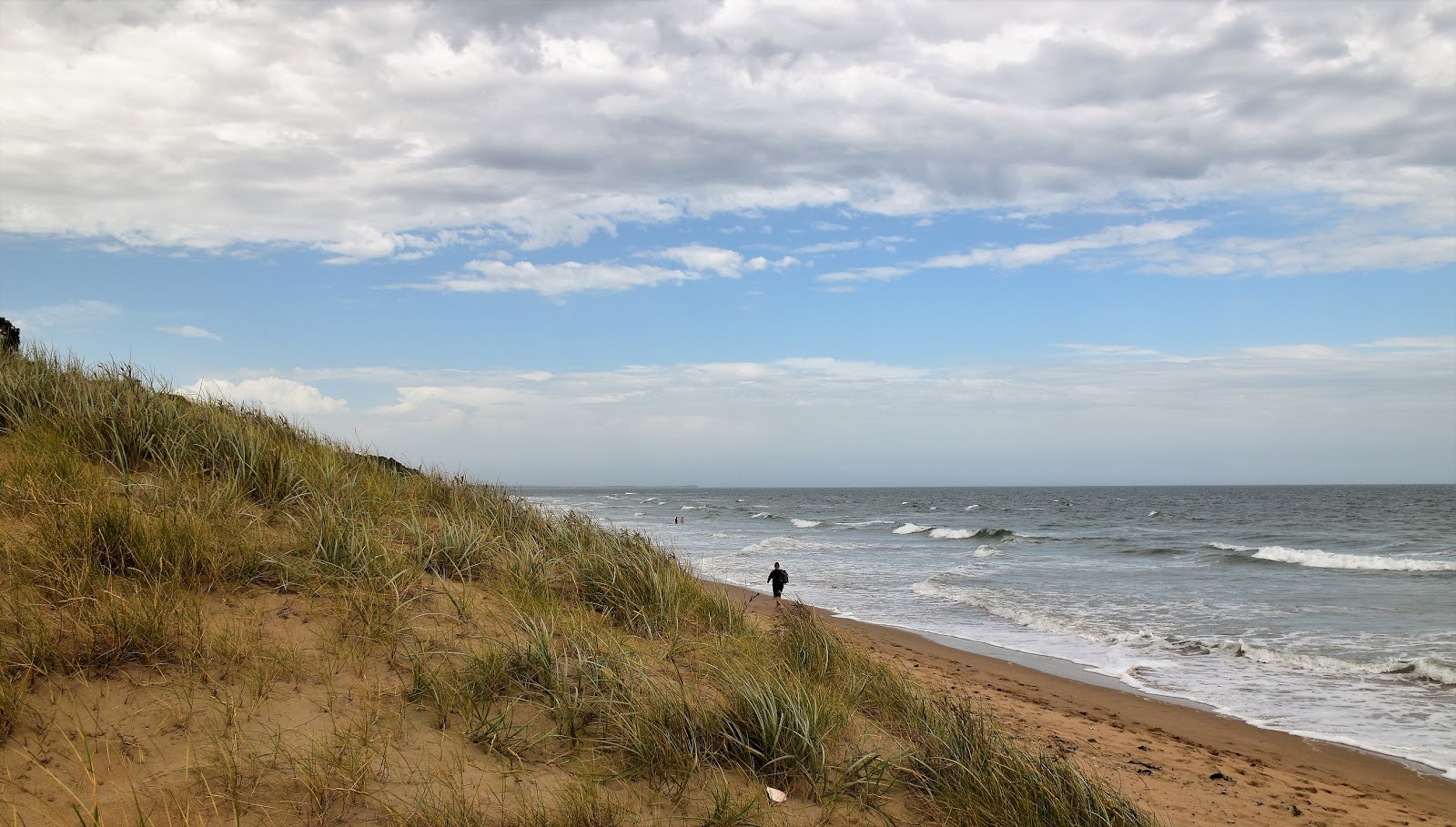 Goin' Feral One Day At A Time: Point Impossible, Breamlea Flora & Fauna ...