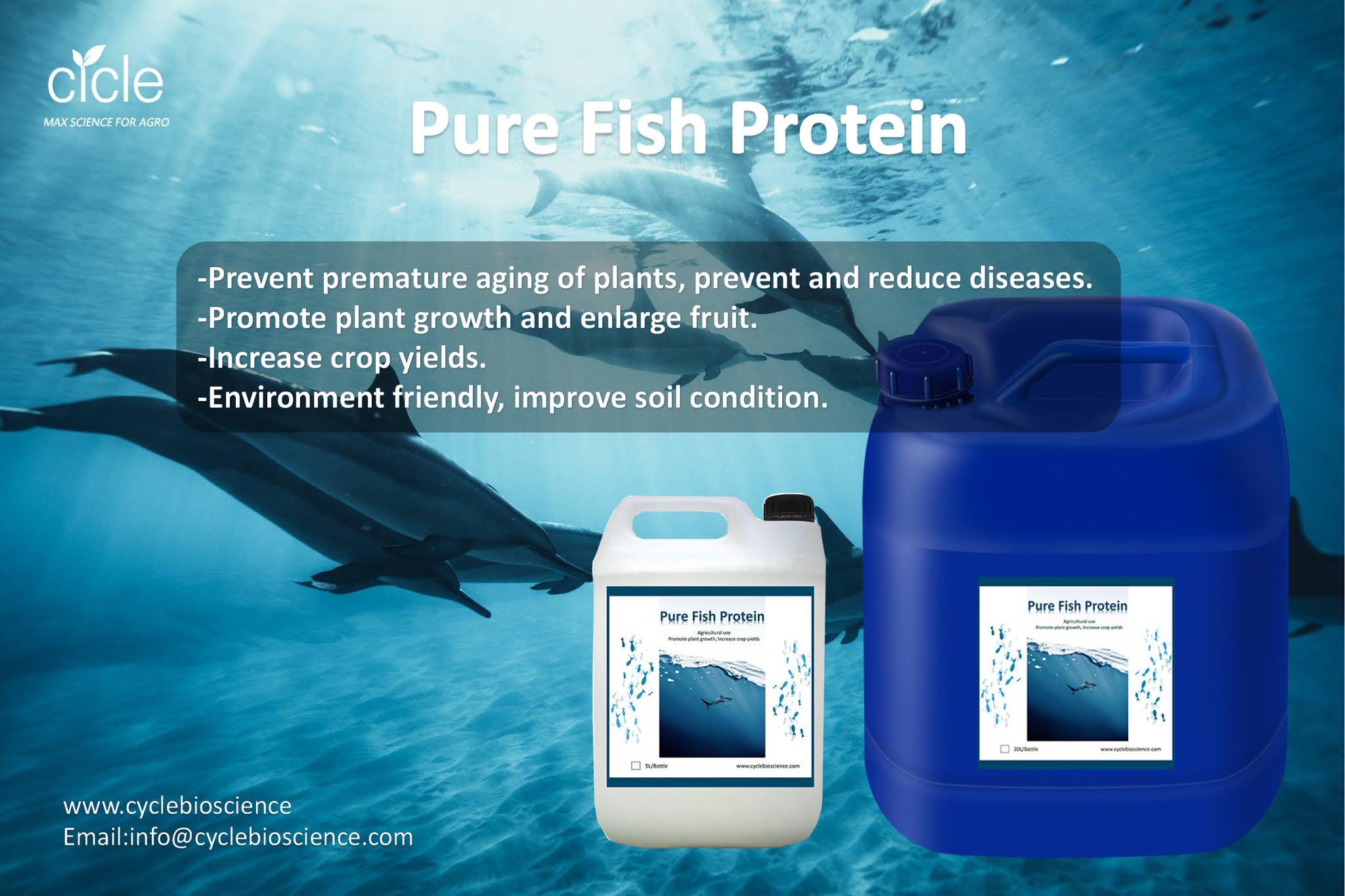 What exactly is fish protein? What is the effect of fish protein? How ...