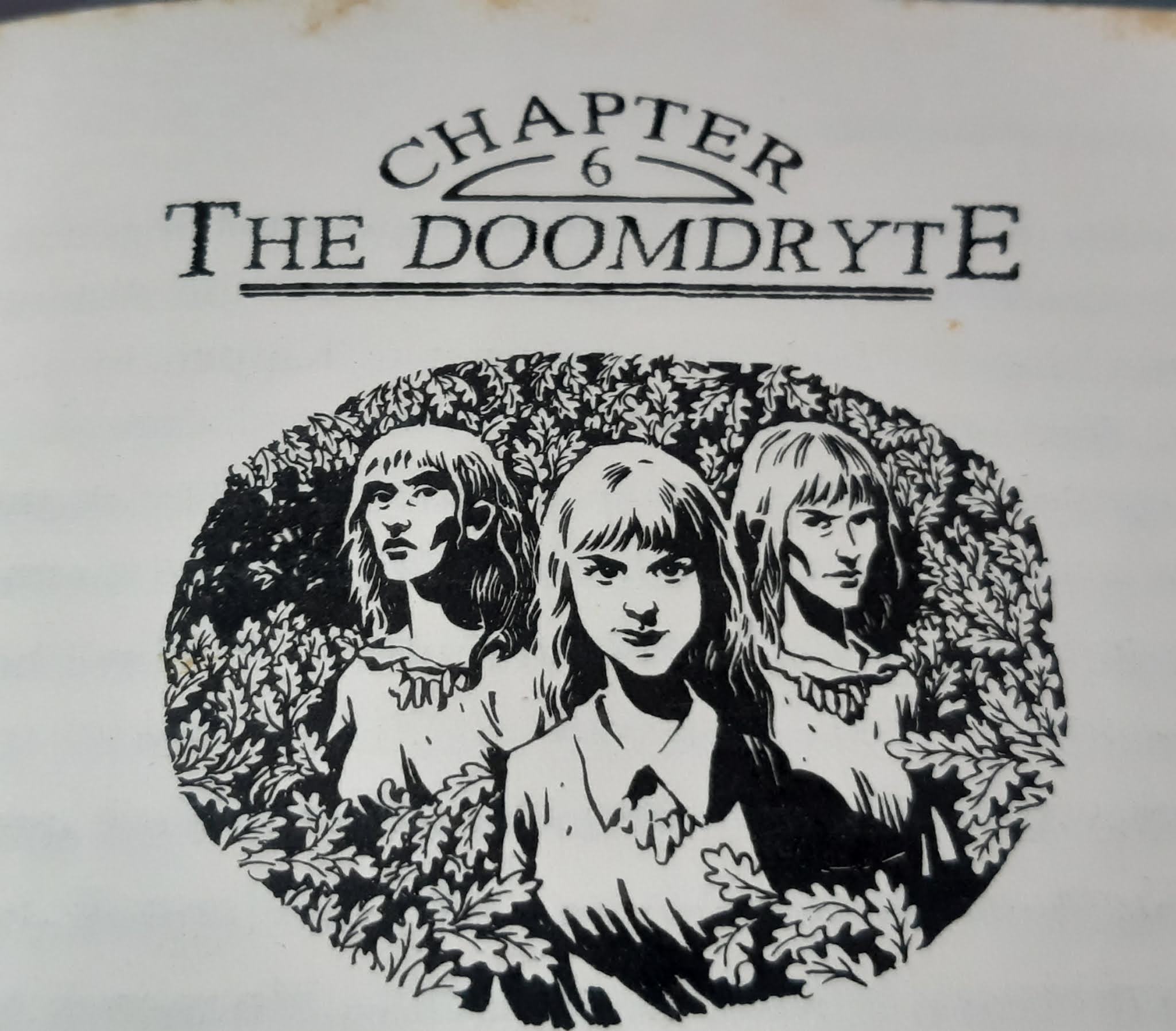 Cinema e Livros: As Aventuras do Caça Feitiço livro 13 Vingança Joseph ...