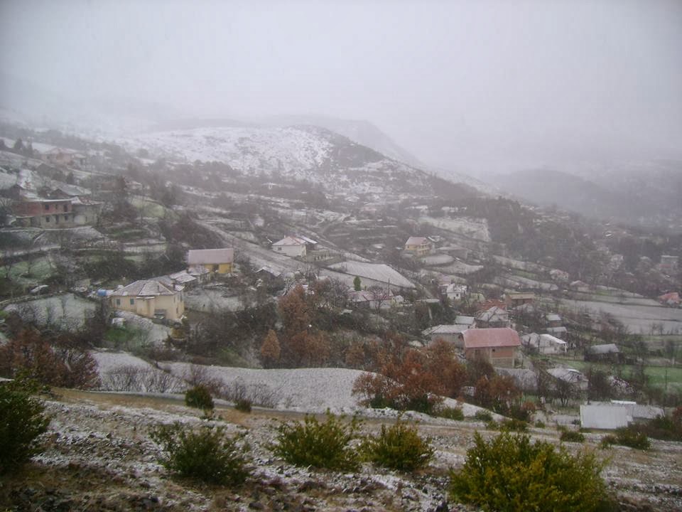 RRAJCA JONE: Rrajca nen petkun e bardhe