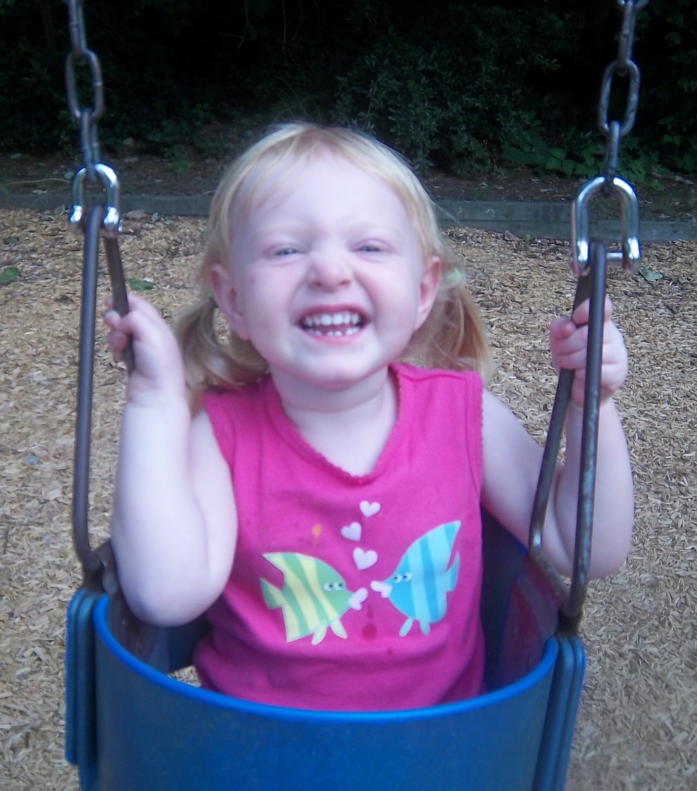 Carolina On My Mind 2 1 2 Years Old carolina-on-my-mind-2-1-2-years-old