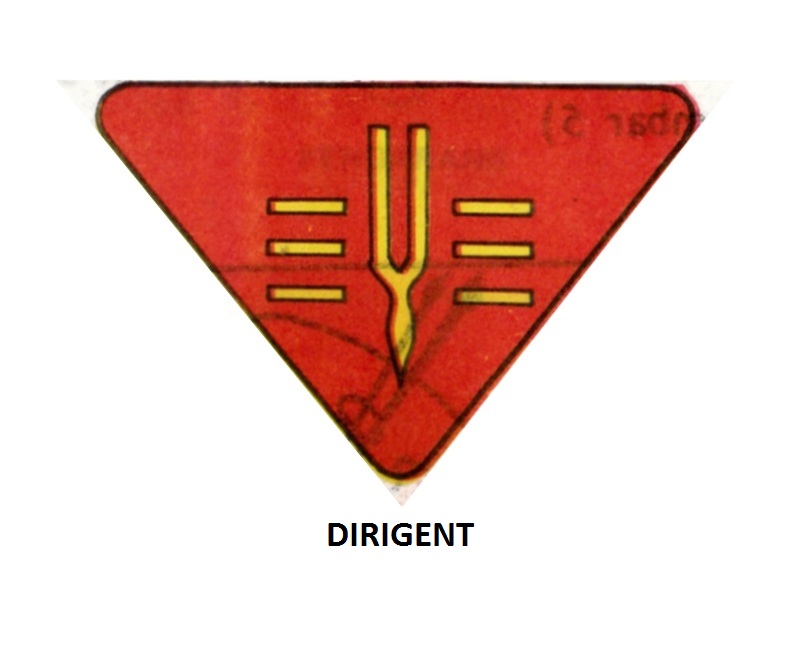 TKK Siaga : Bidang Patriotisme, Seni dan Budaya