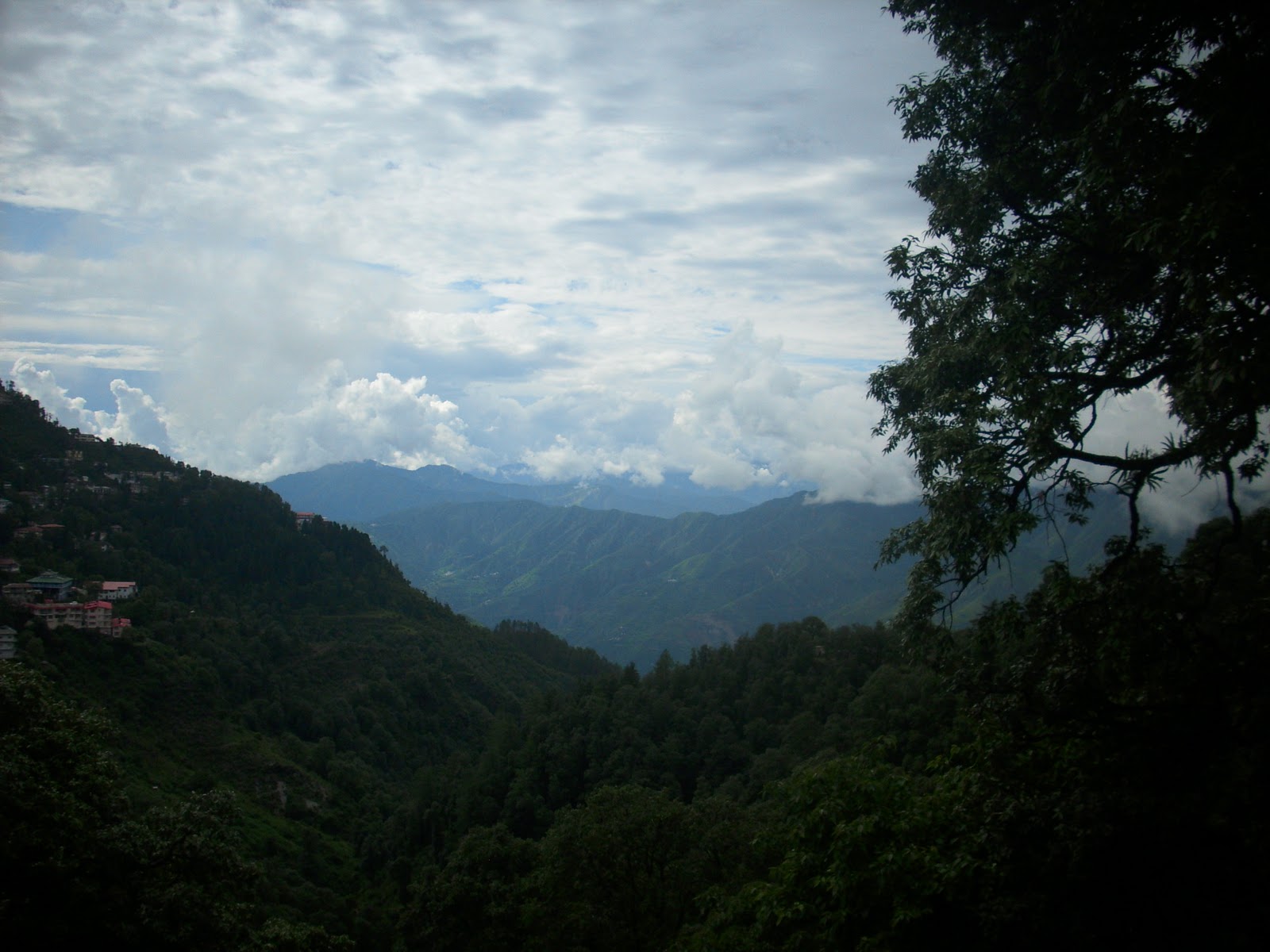 A Wacker in India: Mussoorie monsoons, Hindi bhasha, and Manoj’s birthday.