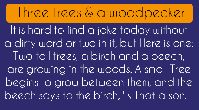 Three trees & a woodpecker - Fonide - Jokes of the day