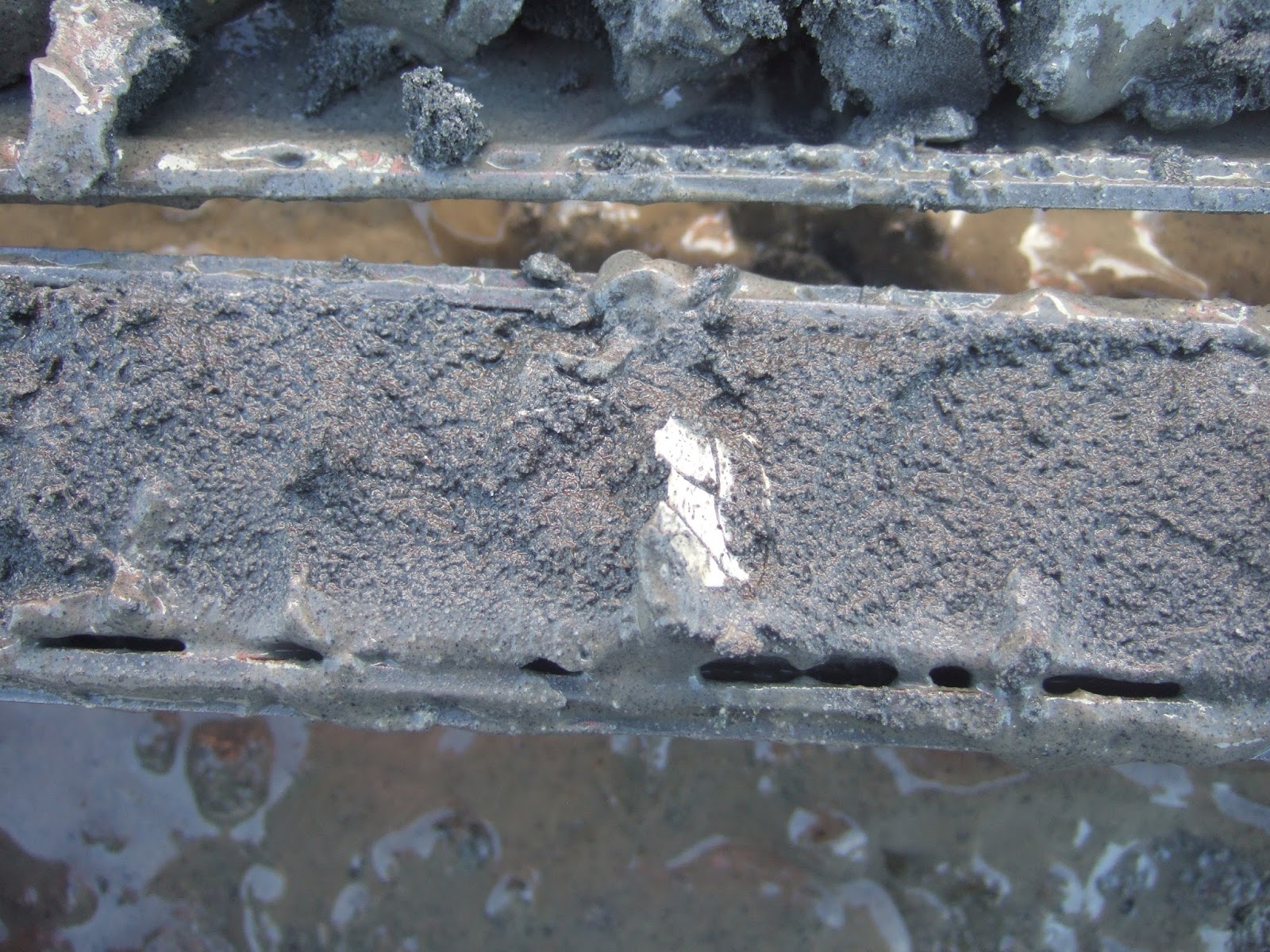 Reading the Washington Landscape: Mud Rotary Day