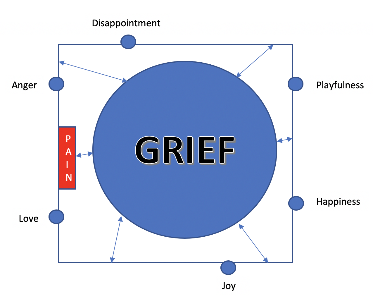Hot Chicks Dig Smart Men: The Ball in the Box
