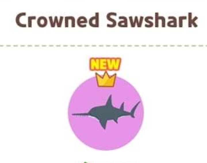 Play Together : Fish List and Location. How to Get Fish in Play ...