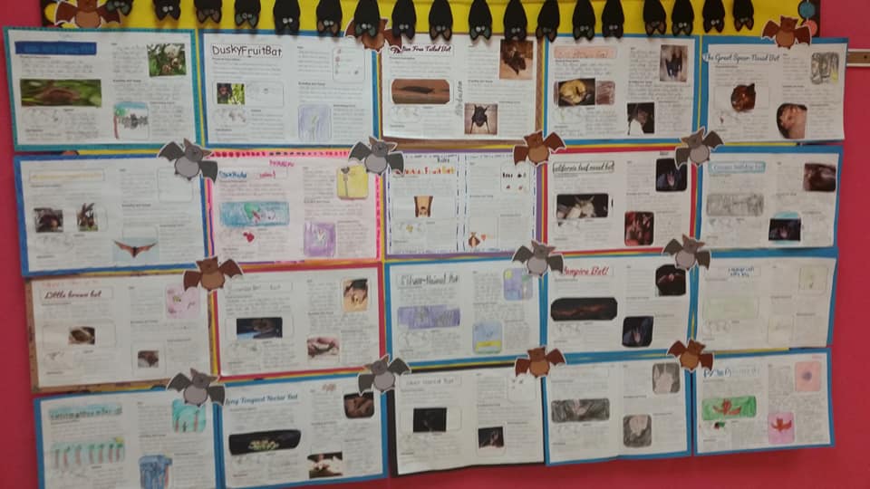 Growing a STEM Classroom: Bats!