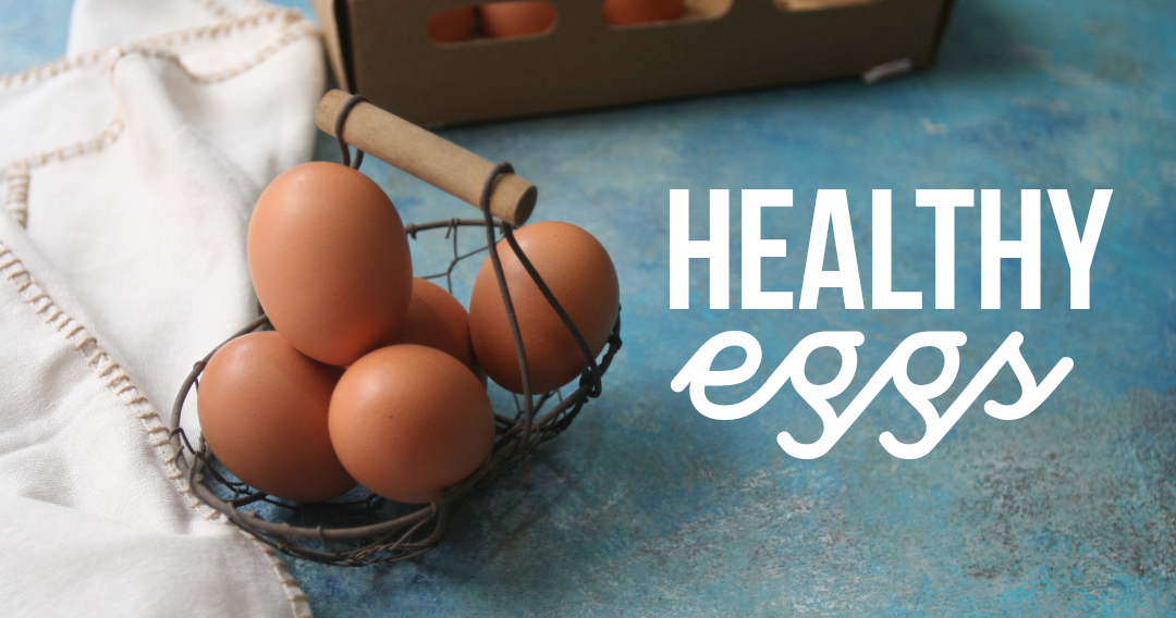 Memilih Telur Sehat ala Healthy Eggs