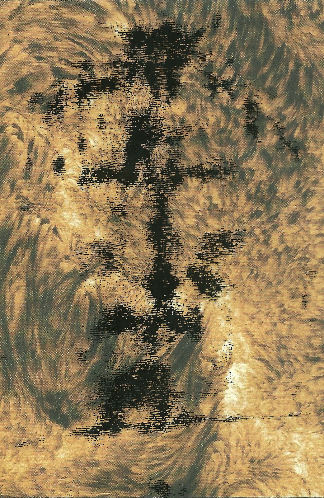 Seeing Images of God: Shroud of Turin Face