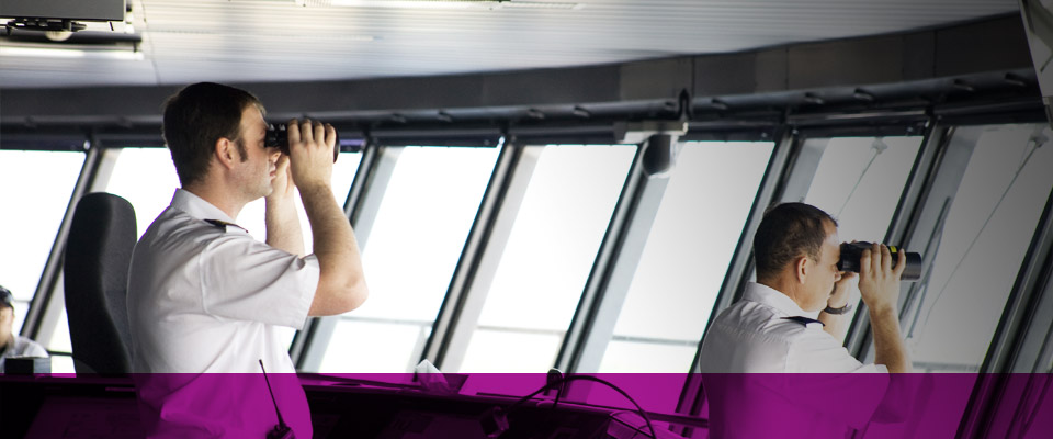 People on the Ship and What do they do