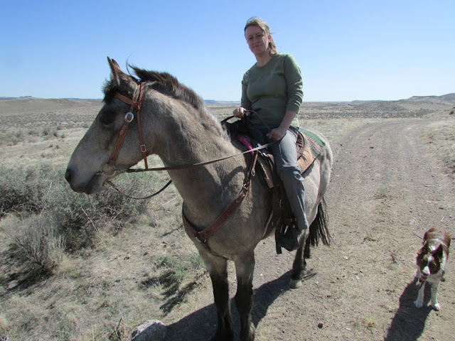 Knotty Pine Ranch: Colleen, Buck and Hardtrigger