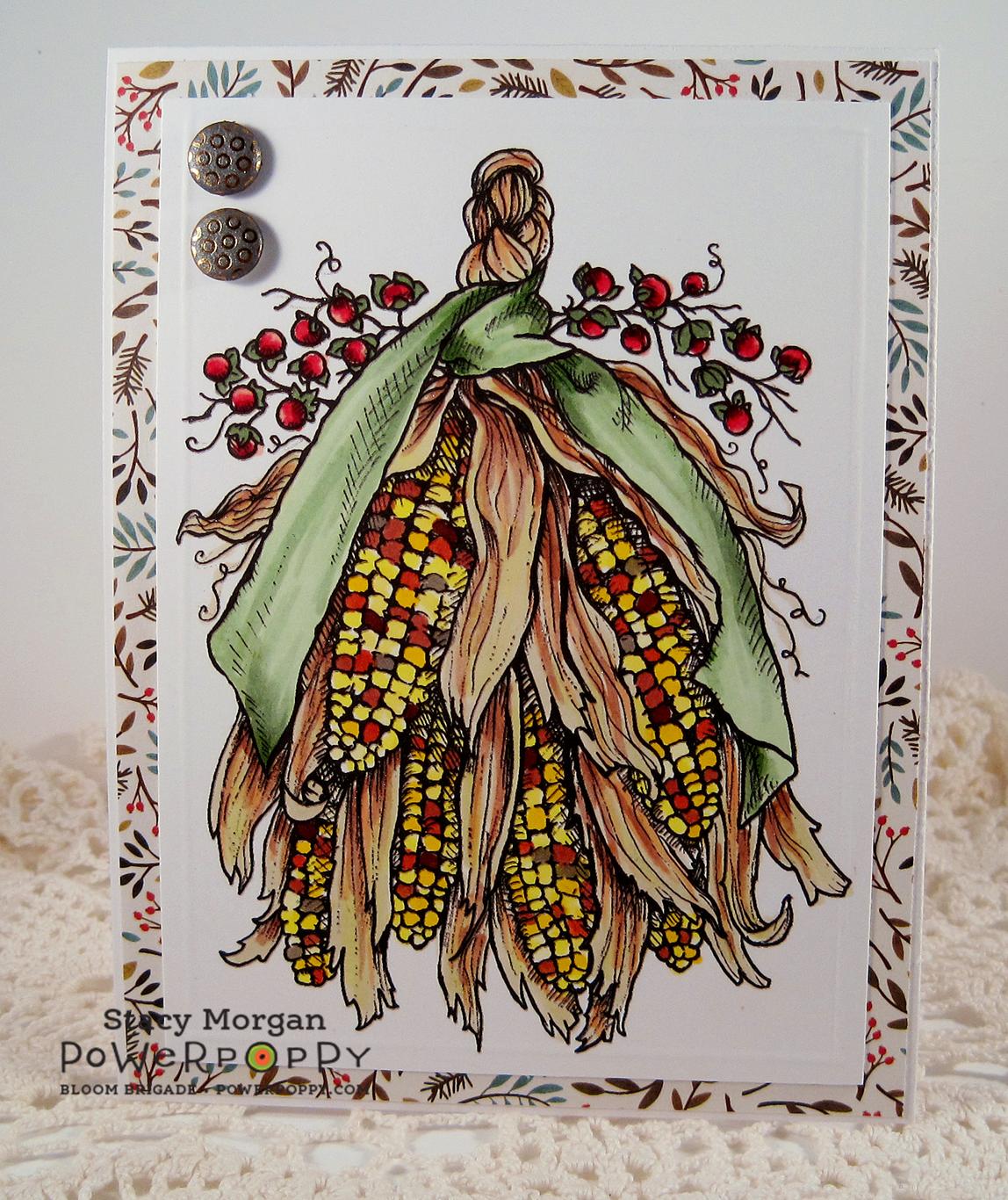 Twinshappy: Simple Maize