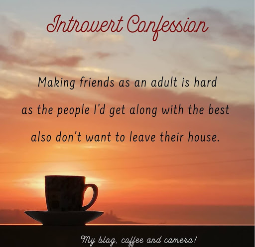 My blog,coffee and camera!: Introverts