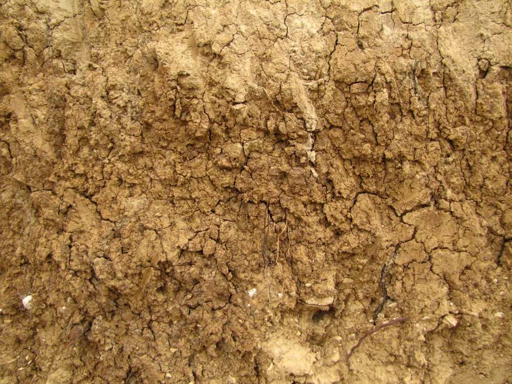 Pedogeographia Comeniana: 1. 7. 2012 - 1. 8. 2012