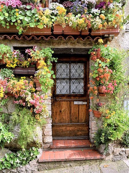 Photojungel: Flower Door