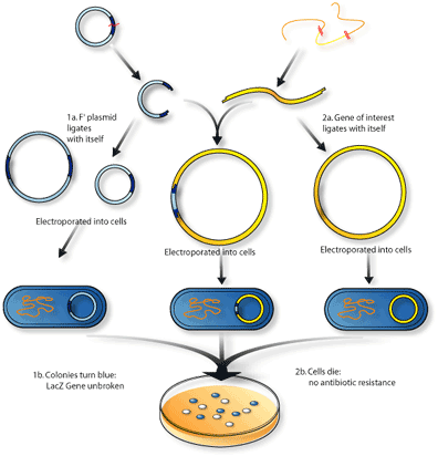 BioChemestry-Tech Blog