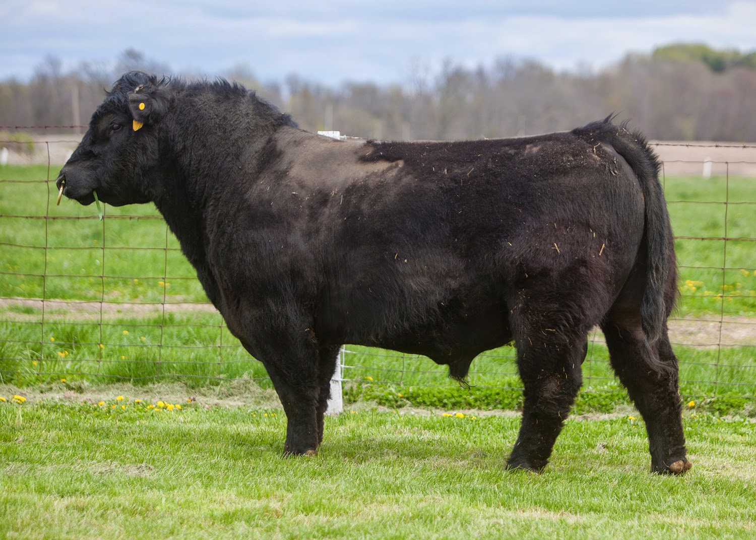 RCC Blog: BLOCK BUSTER