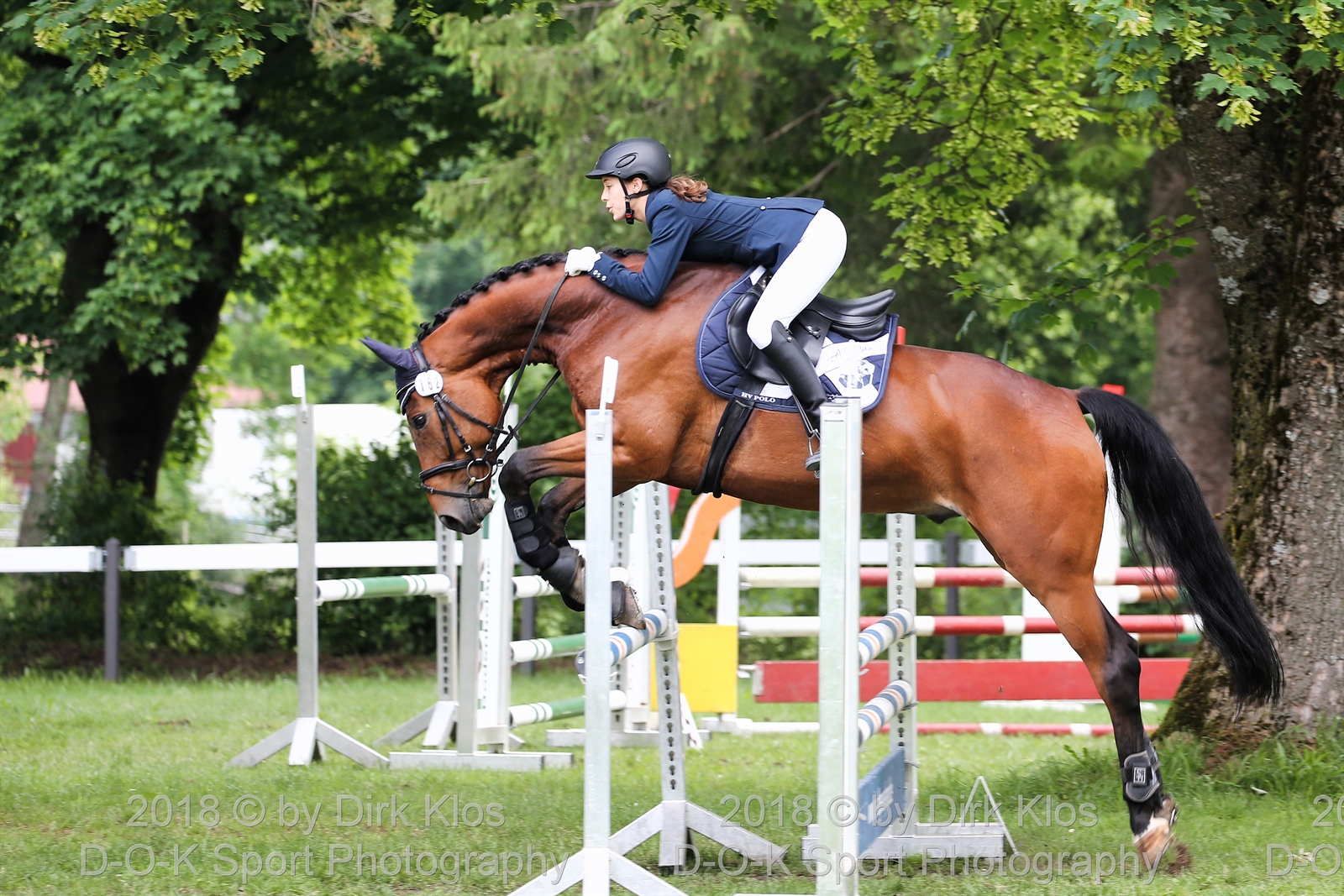 D-O-K Sportfotografie: Dressur- und Springturnier beim Reit- und ...