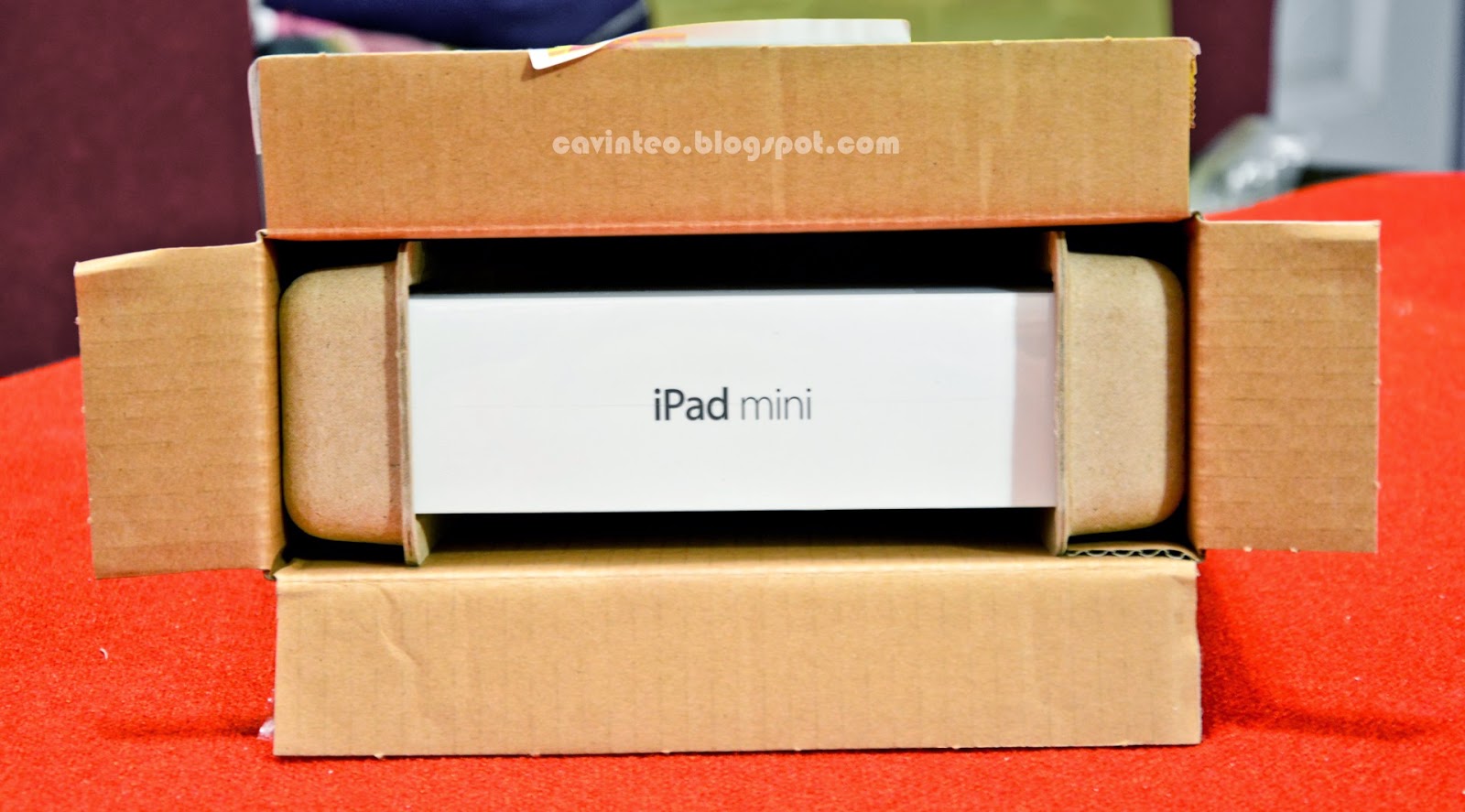 Entree Kibbles: A New Toy in the House - iPad Mini!