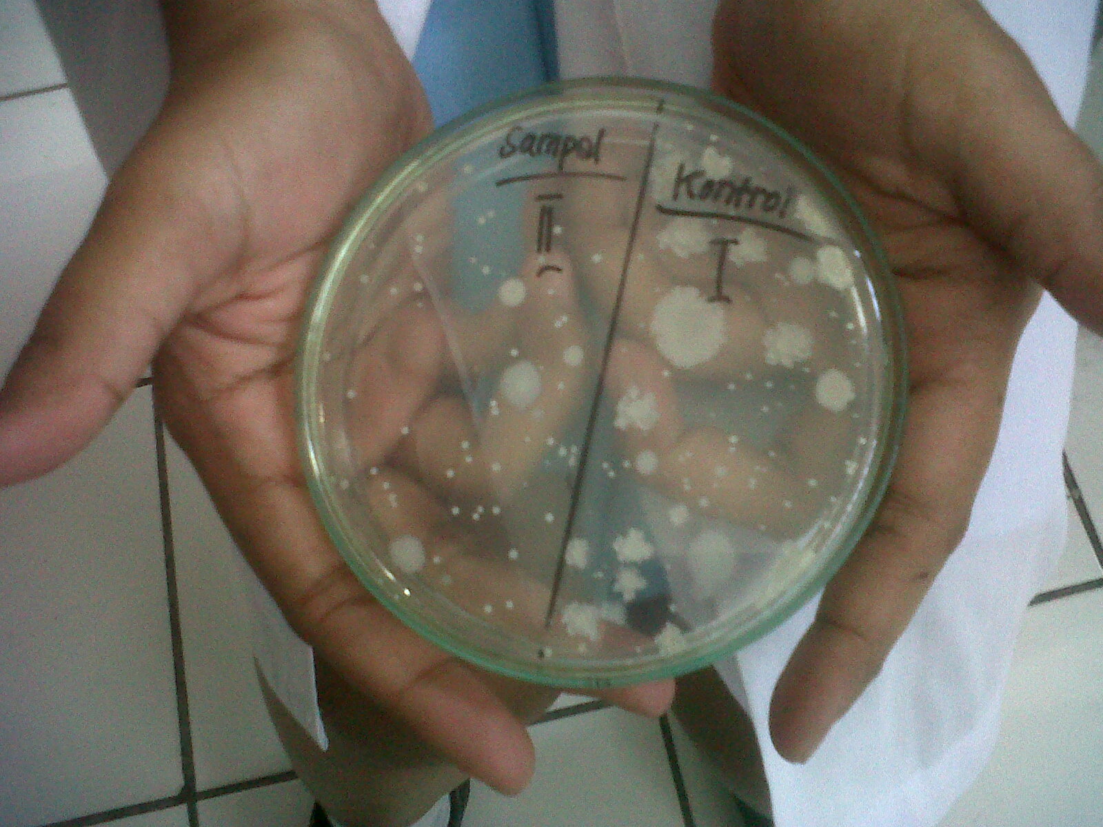 Laboratorium Bakteriologi