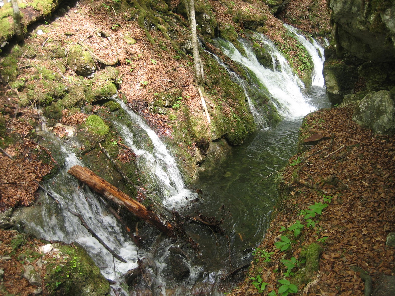 mal-ta: The Traun River and the 3 lakes-the Grundlesee, Toplitzsee and ...