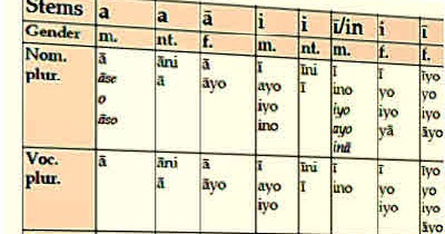 Delving into Noun Declension | Learn Pali Language