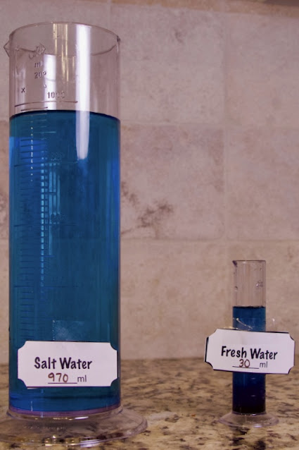 5th Grade Water Distribution Complete Unit - Teaching Science with ...