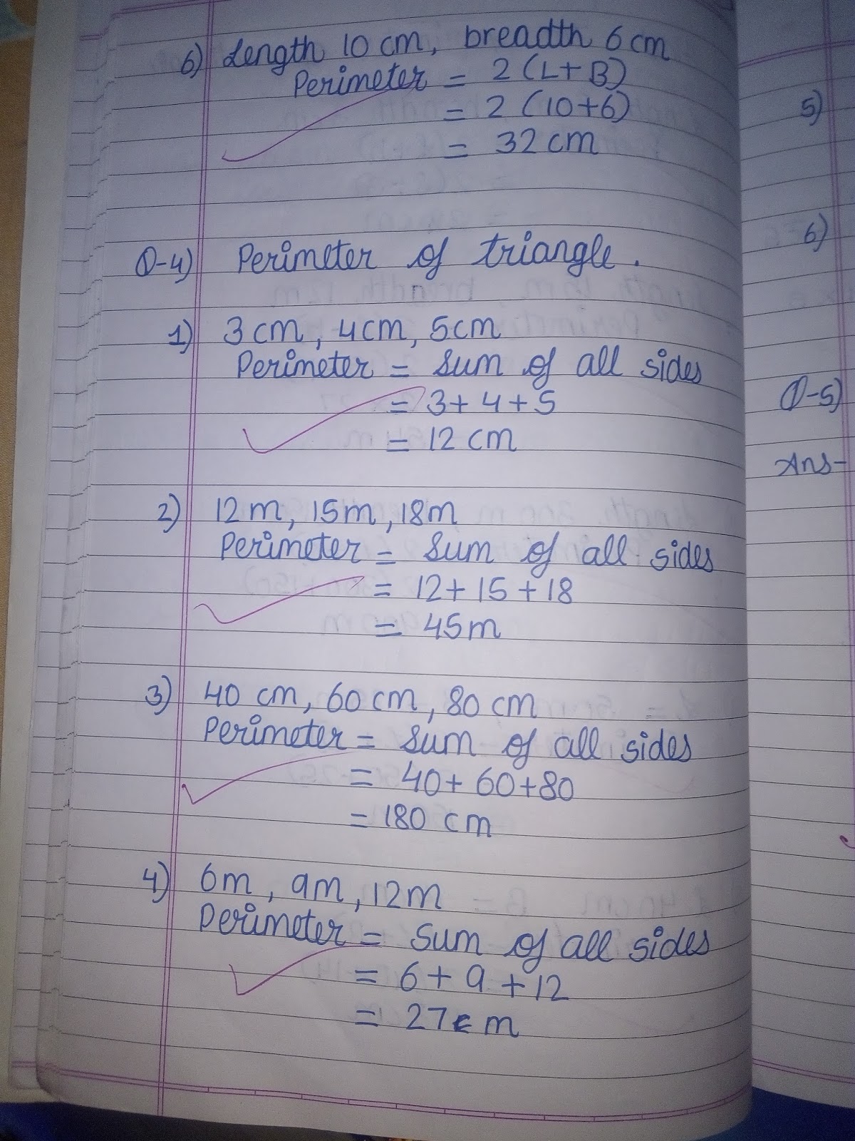 Grade 6 perimeter and area, geometrical construction and symmetry